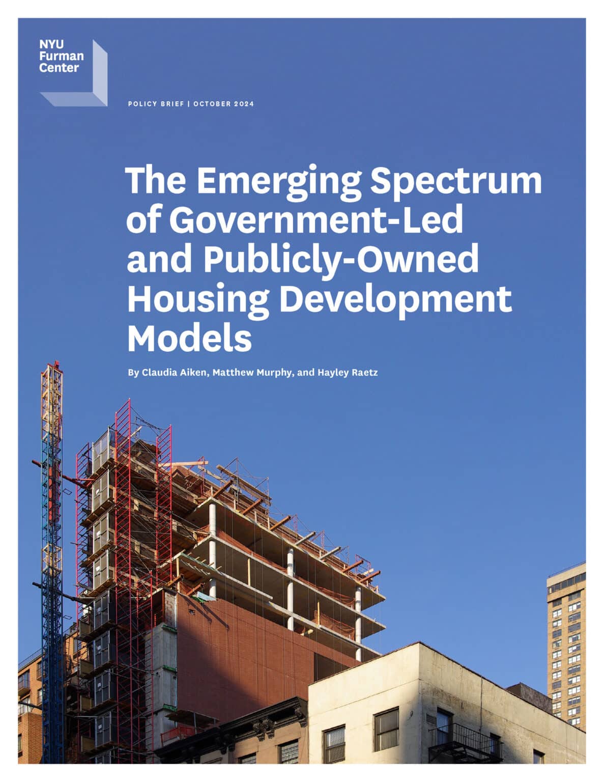 Public Developer Models in the U.S. and Beyond